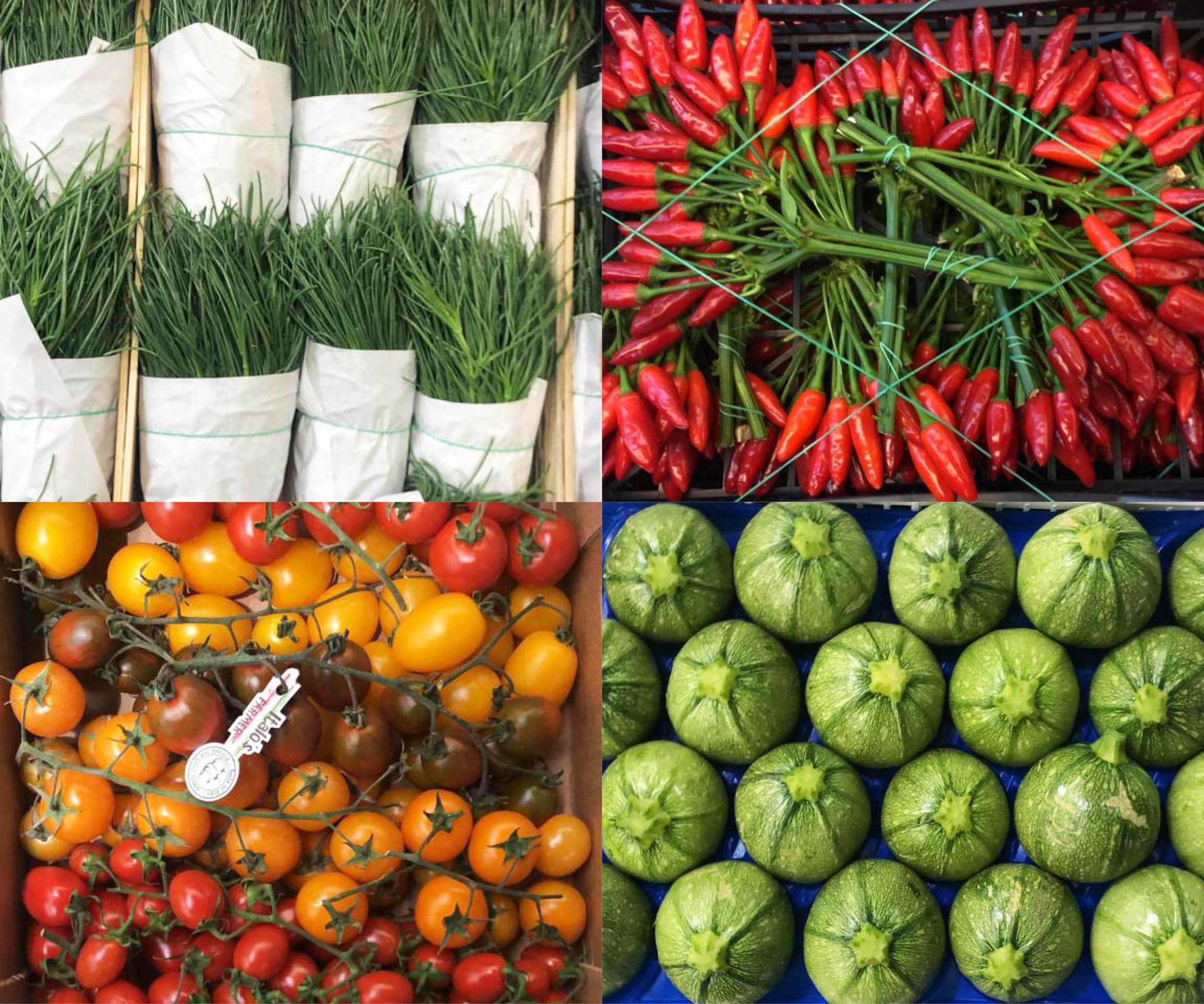 Italian Vegetable & Fruit Bag or Box – Victor & Carina Contini